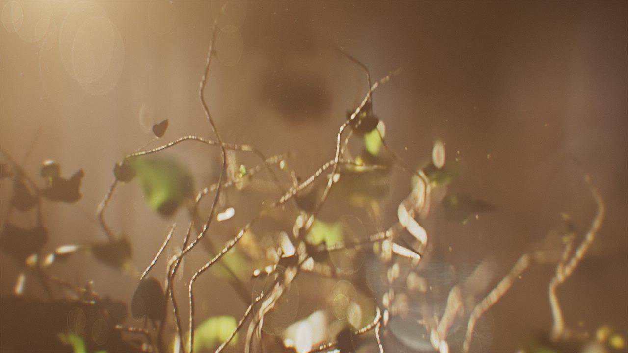 Jonah | Botched Creative