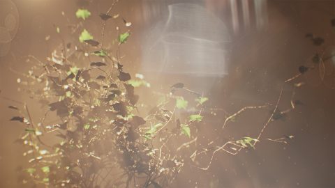 Jonah | Botched Creative