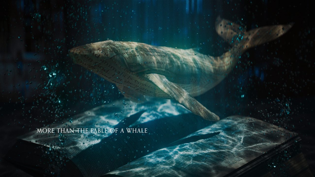 Jonah | Botched Creative