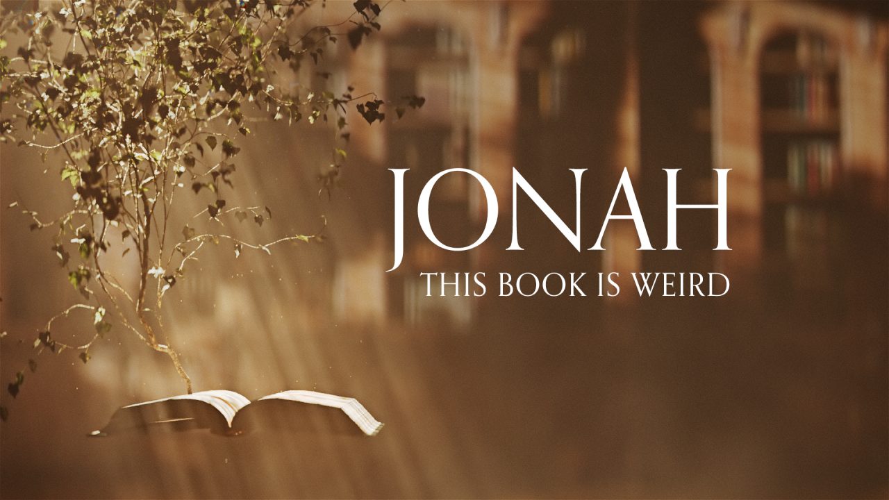 Jonah | Botched Creative