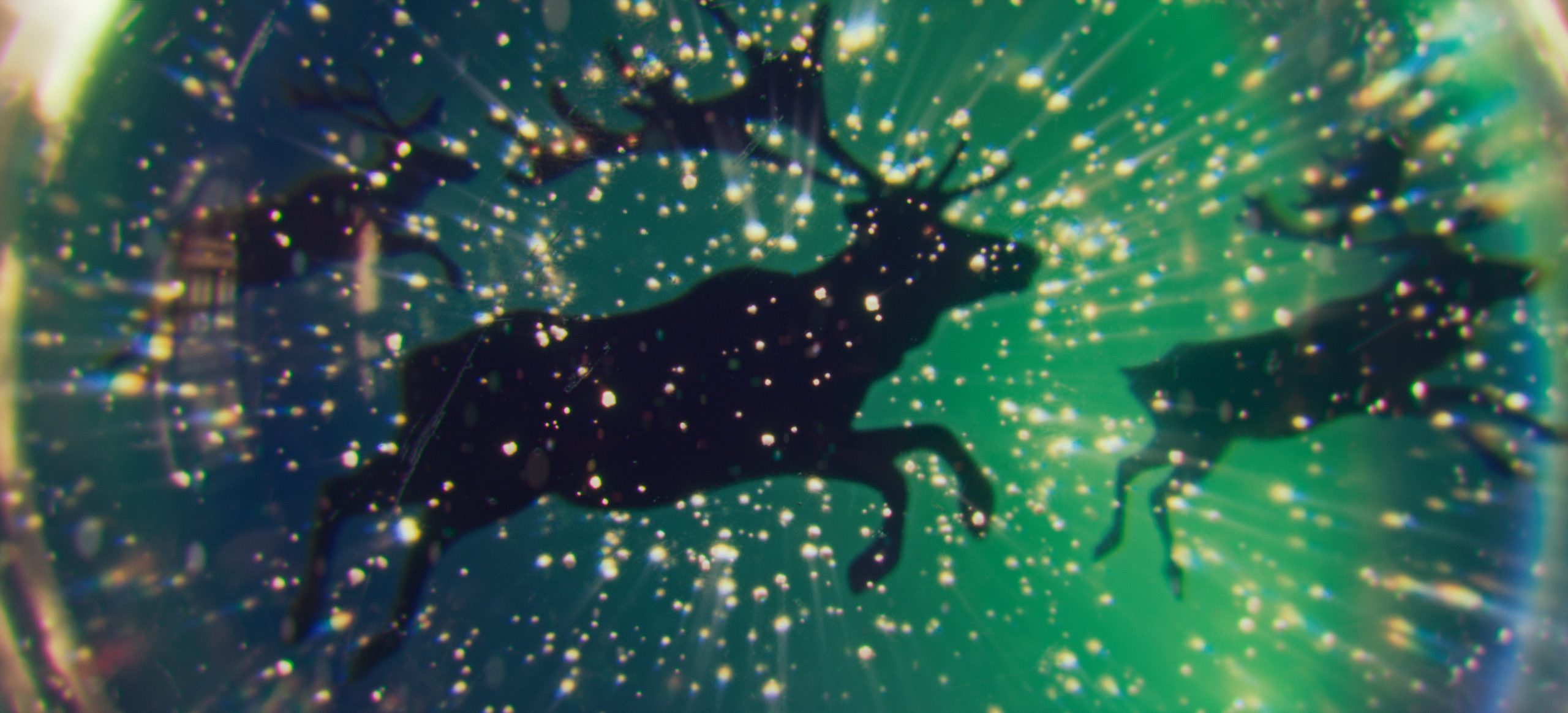 The Santa Clauses (Season 2) | Botched Creative